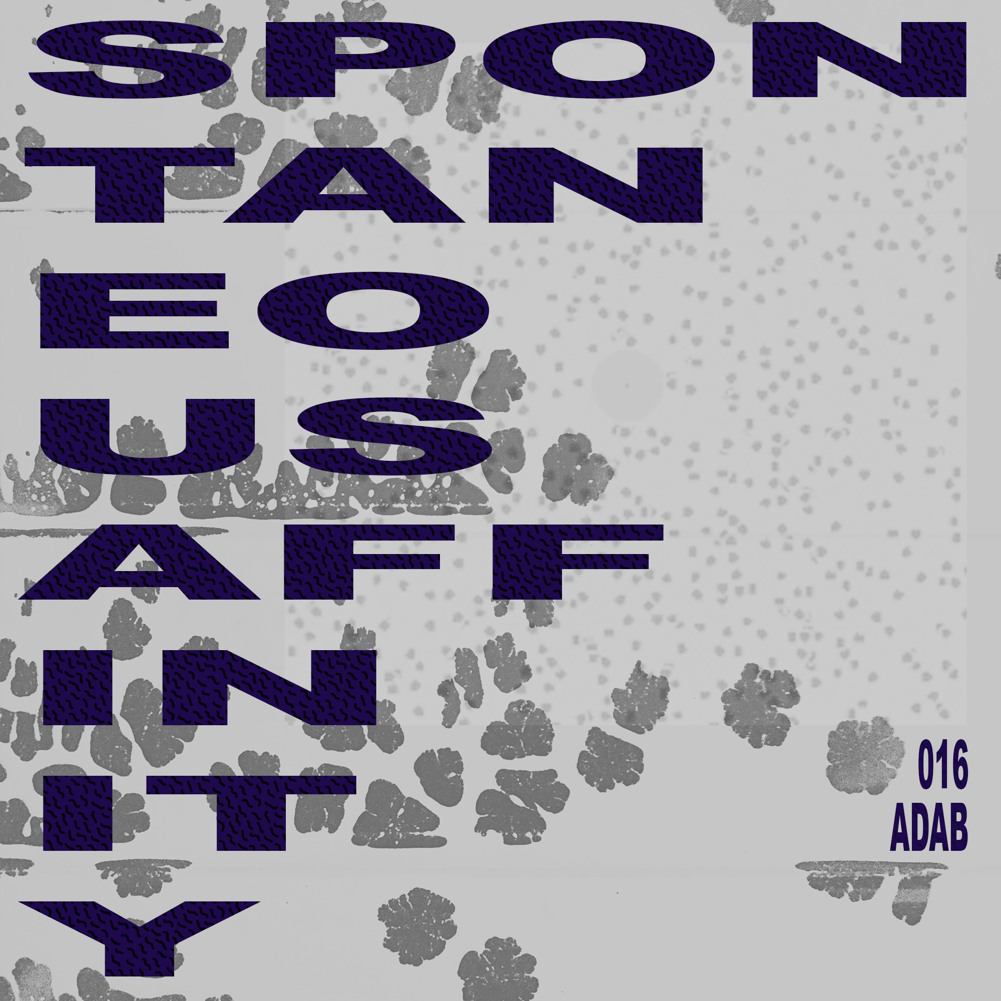 Spontaneous Affinity | 016. ADAB